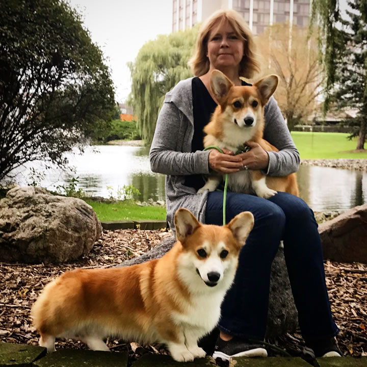 Golden Gate Pembroke Welsh Corgi Fanciers